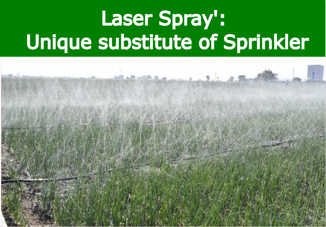 driptechtrial – Just another WordPress site