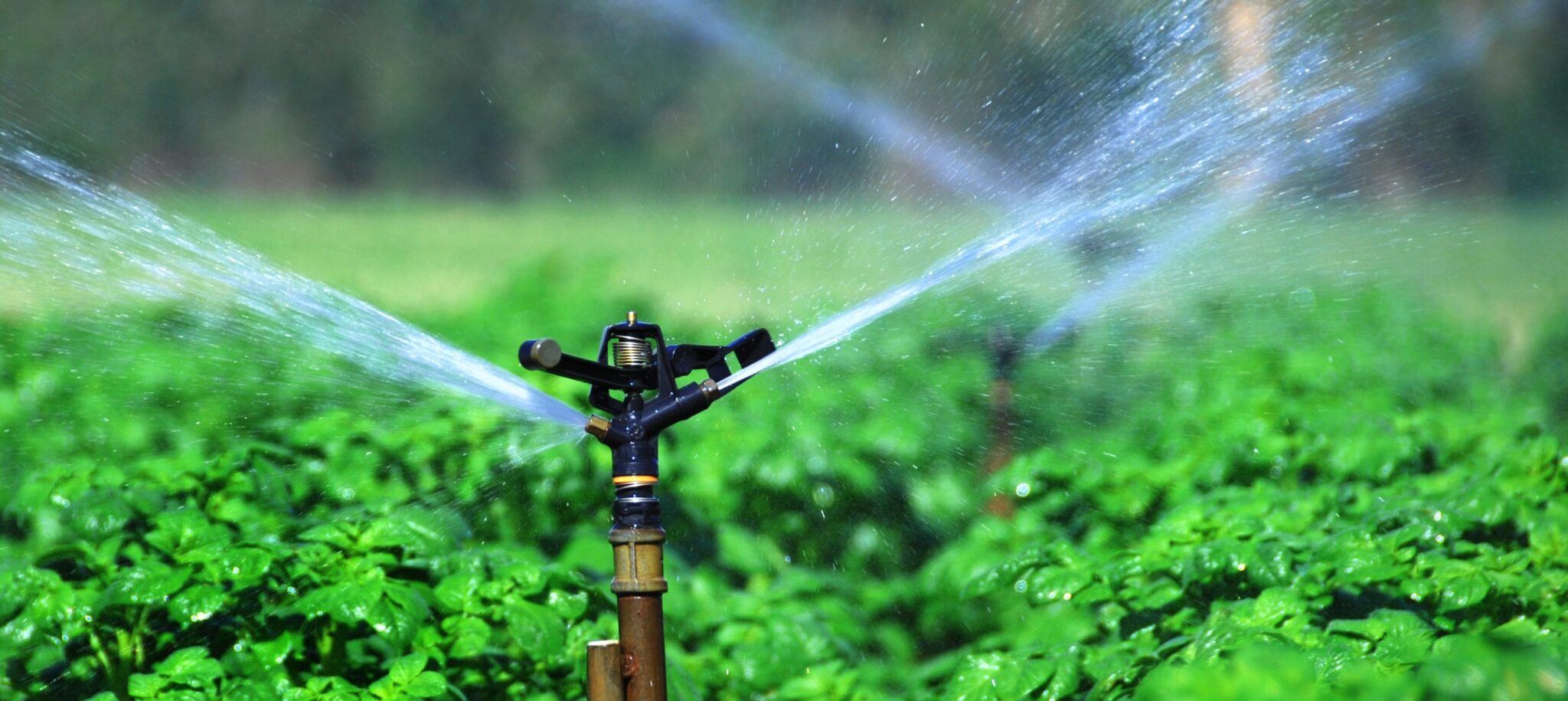 sprinkler – driptechtrial