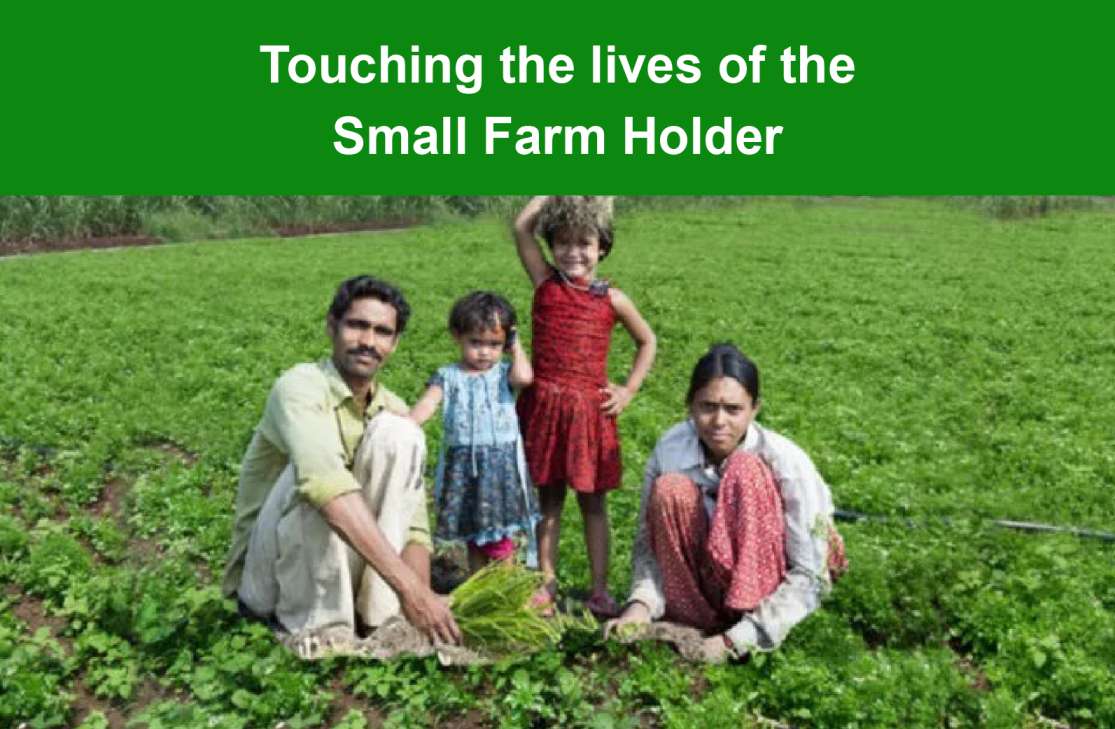 Drip Irrigation Systems & Solutions | Drip Irrigation