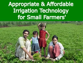 Driptech has created the best drip irrigation system for small-plot.